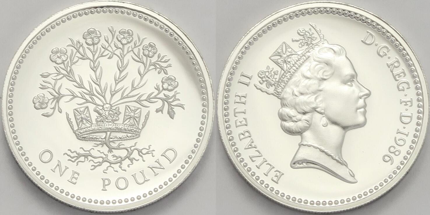 Great Britain Pound 1986 Northern Ireland Proof | MA-Shops