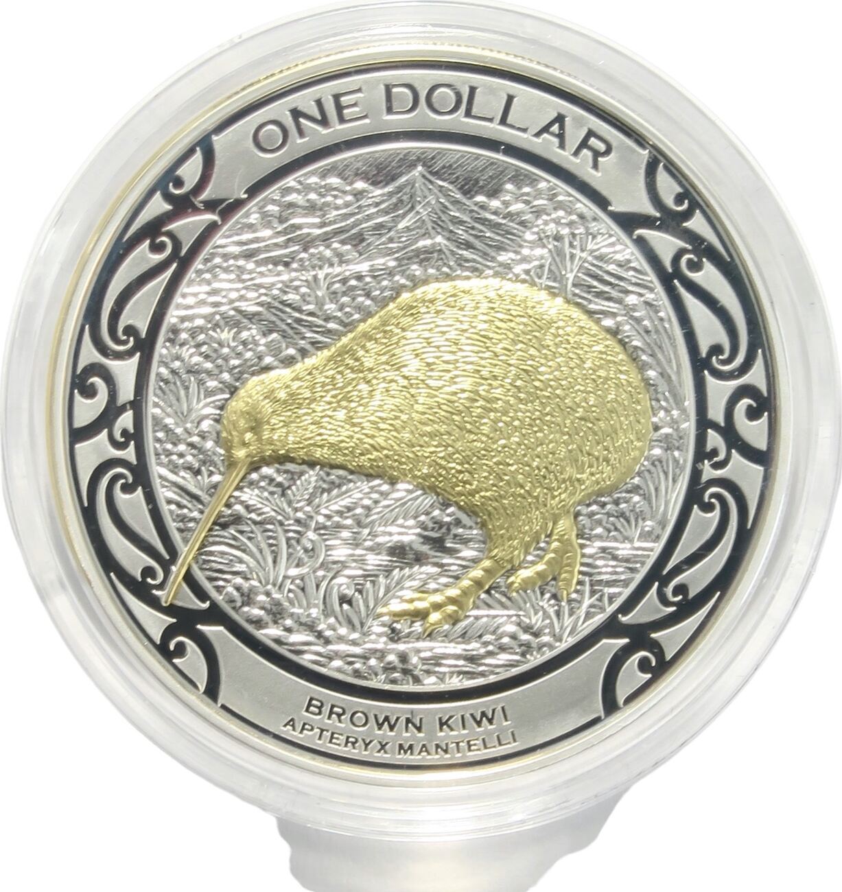 New Zealand Dollar 2019 Brown Kiwi Proof | MA-Shops