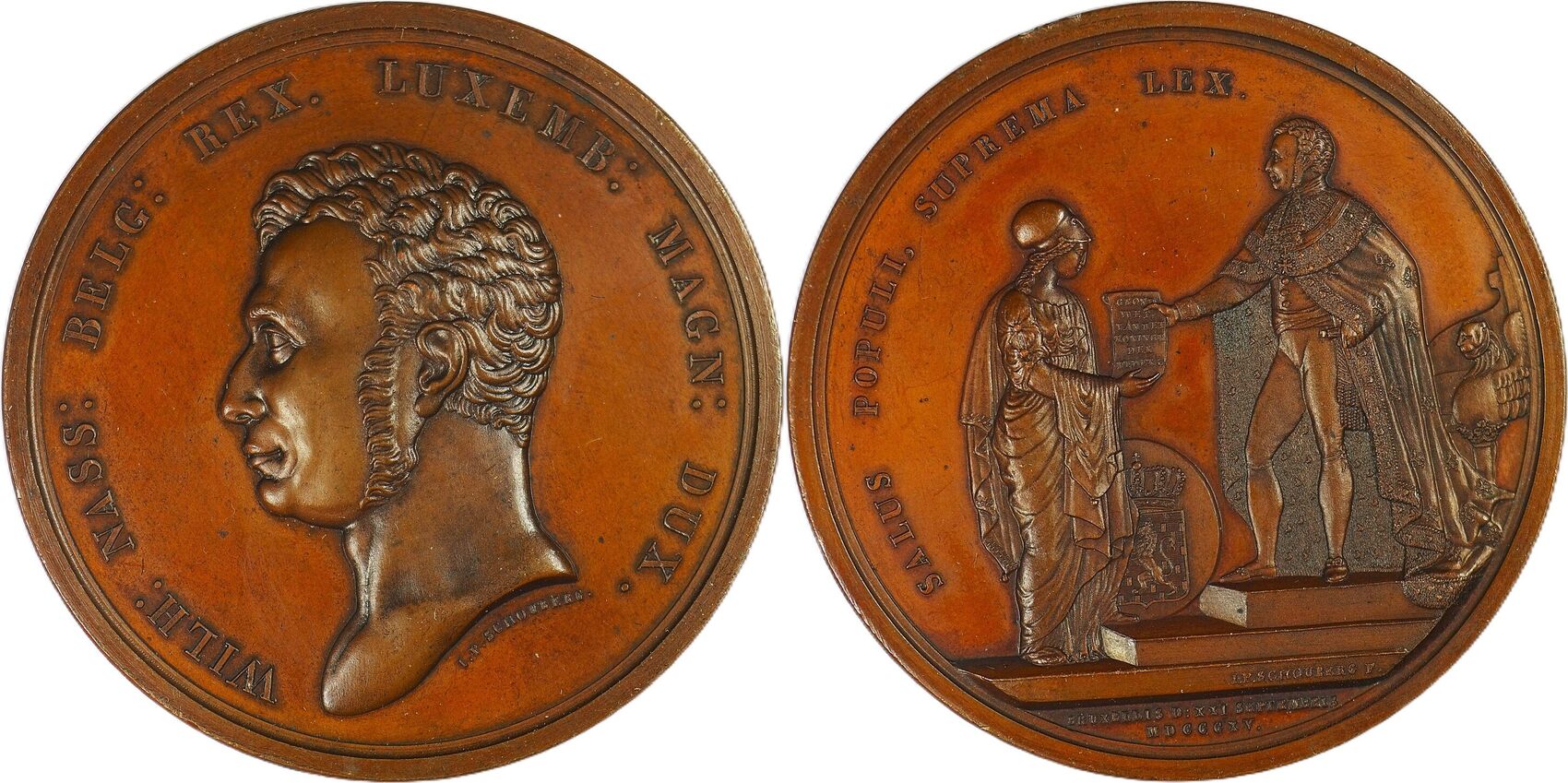 Netherlands / Belgium Historical medal 1815 Promulgation of the Dutch ...