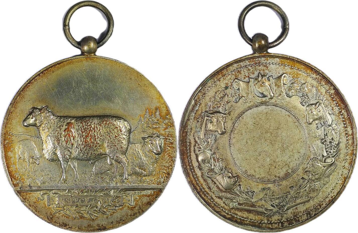 Belgium Historical medal 1930's Agricultural Award Medal – Sheep ...