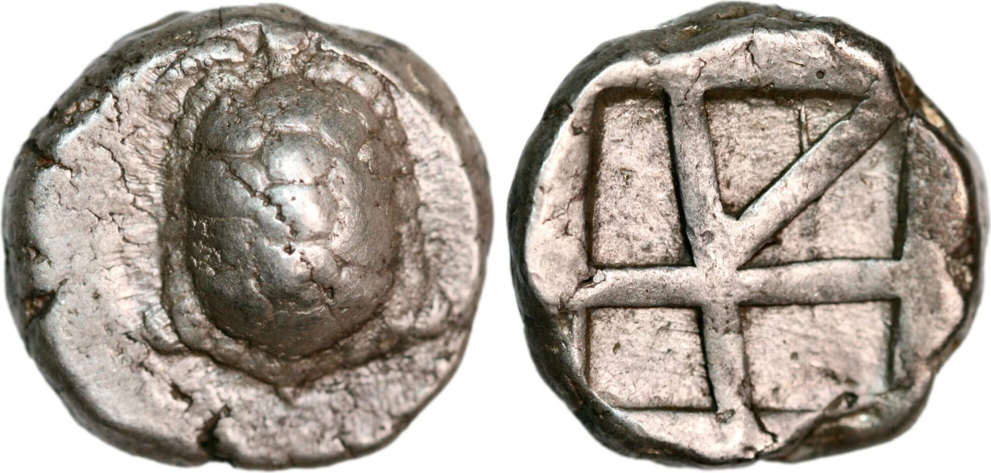 Stater from Aegina in Attica (ca. 456/45-431 BC) | MA-Shops