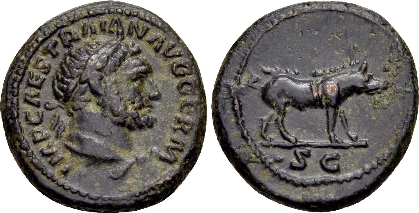 Roman Imperial quadrans 116-117 AD. Trajan Nearly extremely fine | MA-Shops