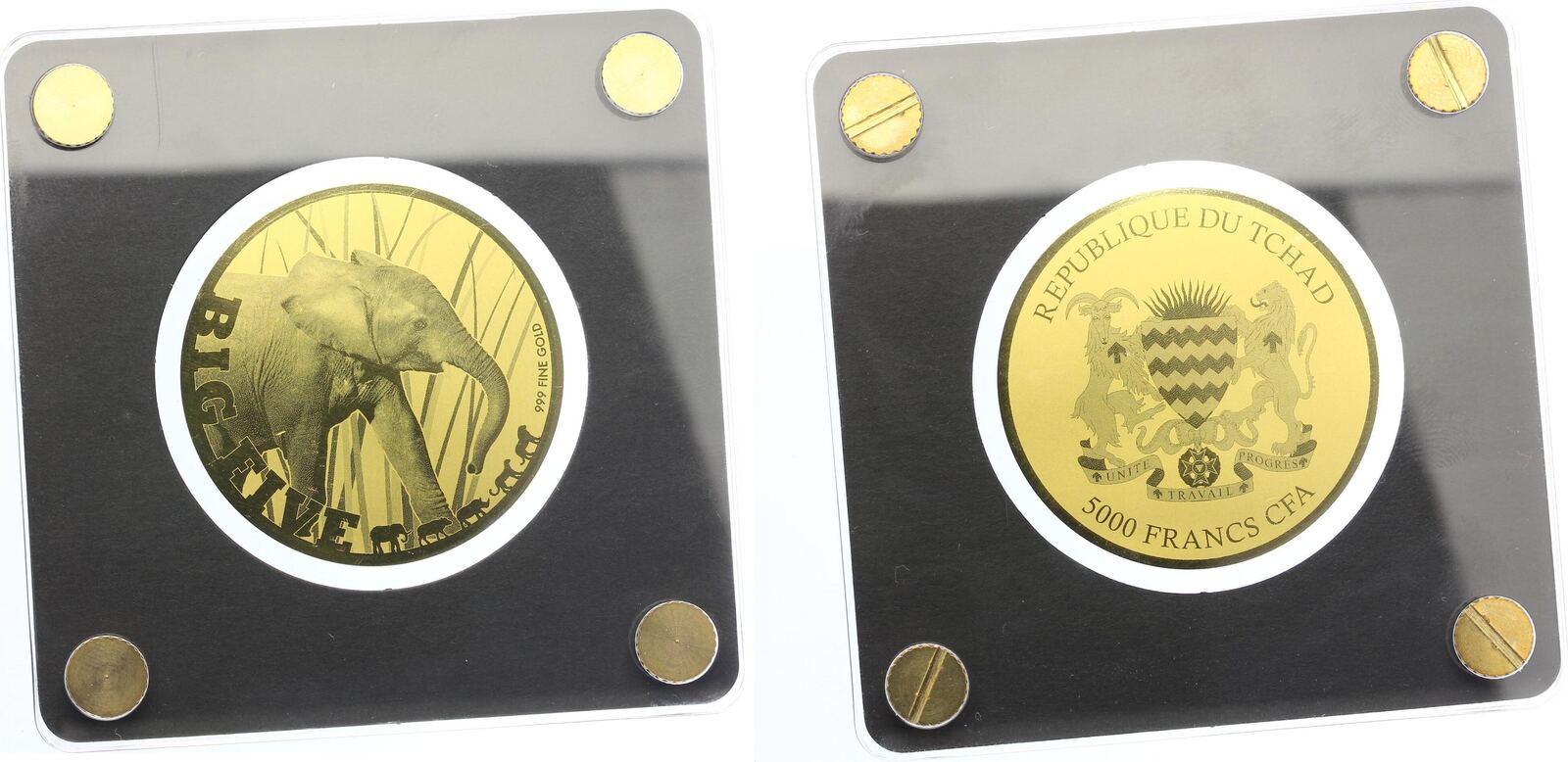 2020 TSCHAD 5000 Francs Gold 1/200 Unze Big Five Elefant | MA-Shops