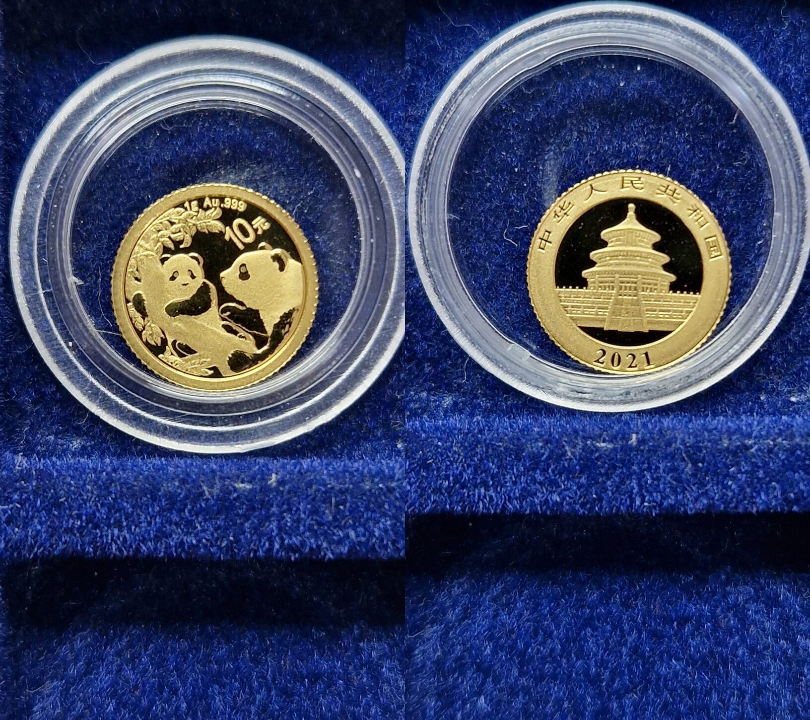 2021 China 10 Yuan Panda 1g Gold UNC | MA-Shops