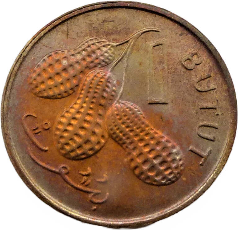 Gambia 1 Butut 1974 Abbildung einer uniformierten Menge BU, | MA-Shops