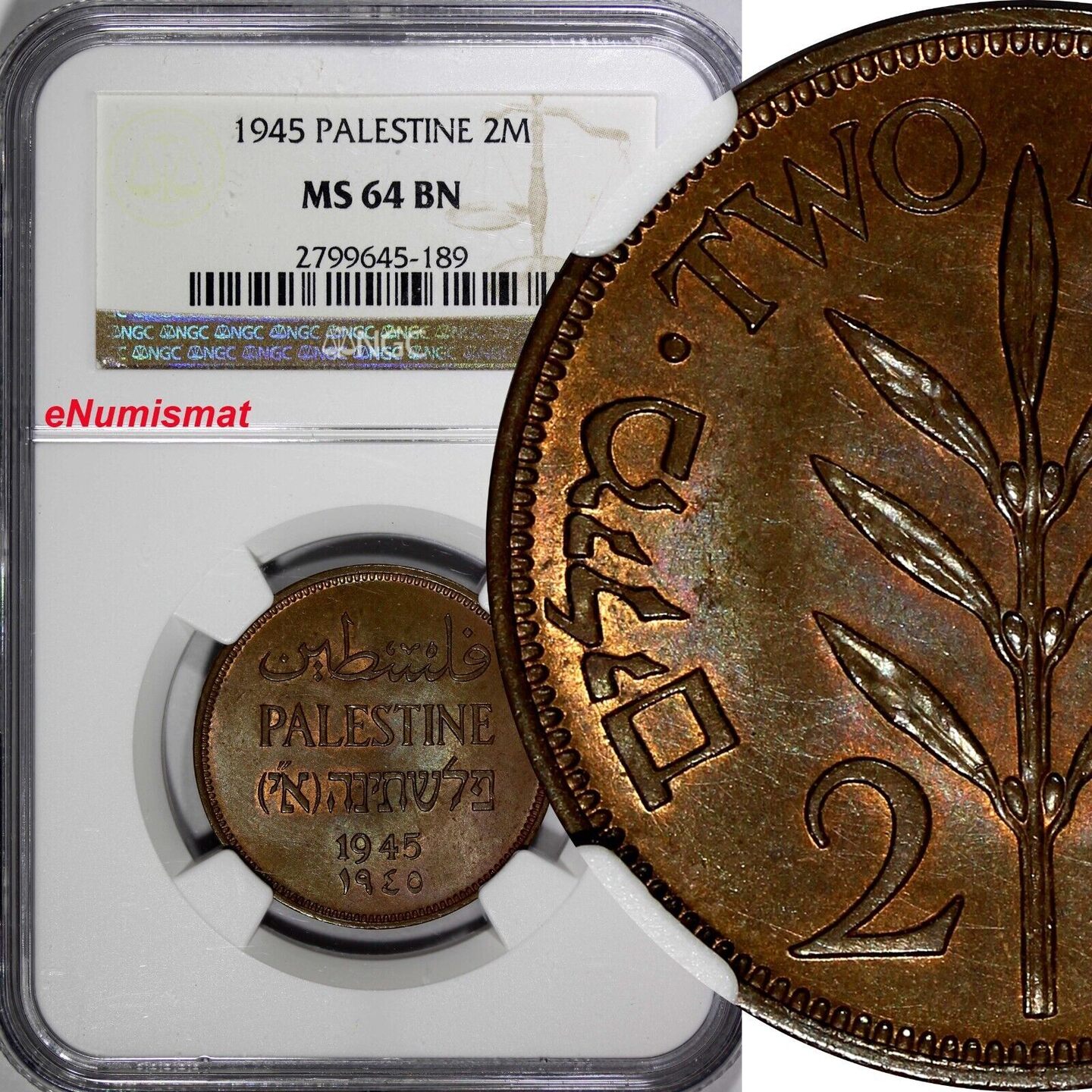 2 Mils Palestine British Mandate Bronze 1945 NGC MS64BN KEY DATE KM# 2 (89) | MA-Shops
