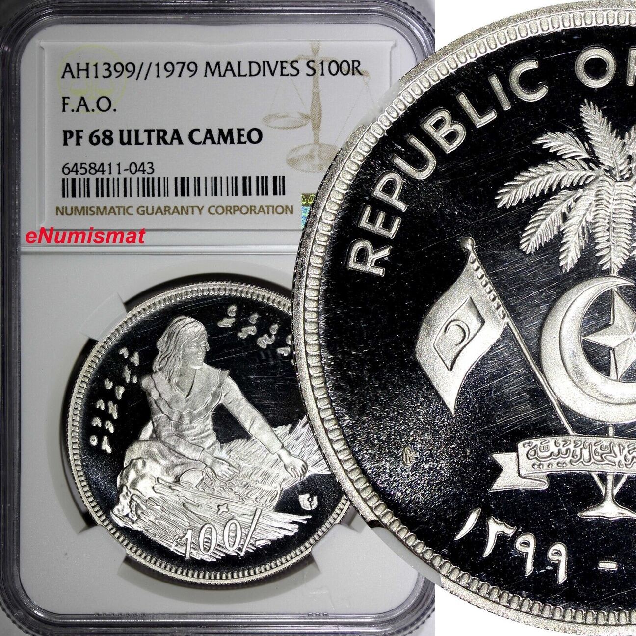 Maldives 100 Rufiyaa Maldive Islands Silver PROOF AH1399//1979 FAO NGC ...