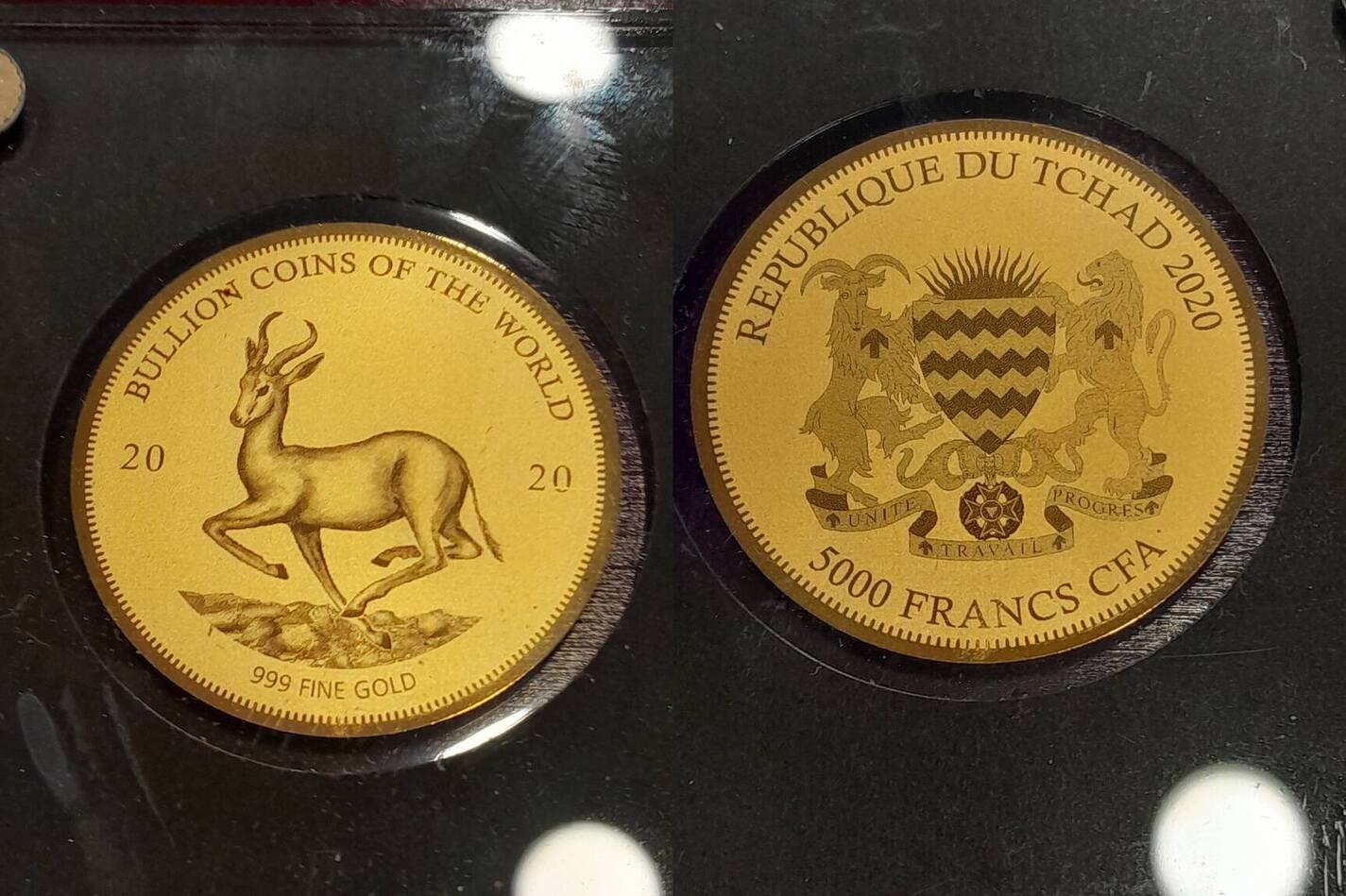 Tschad 5000 Francs 2020 tchad, springbok, gold coin, 1/200 ounce. BU ...