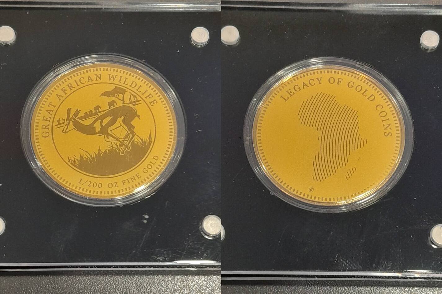 GOLDMEDAILLE - Deutschland 5000 Francs 2022 Springbok sprint, great ...