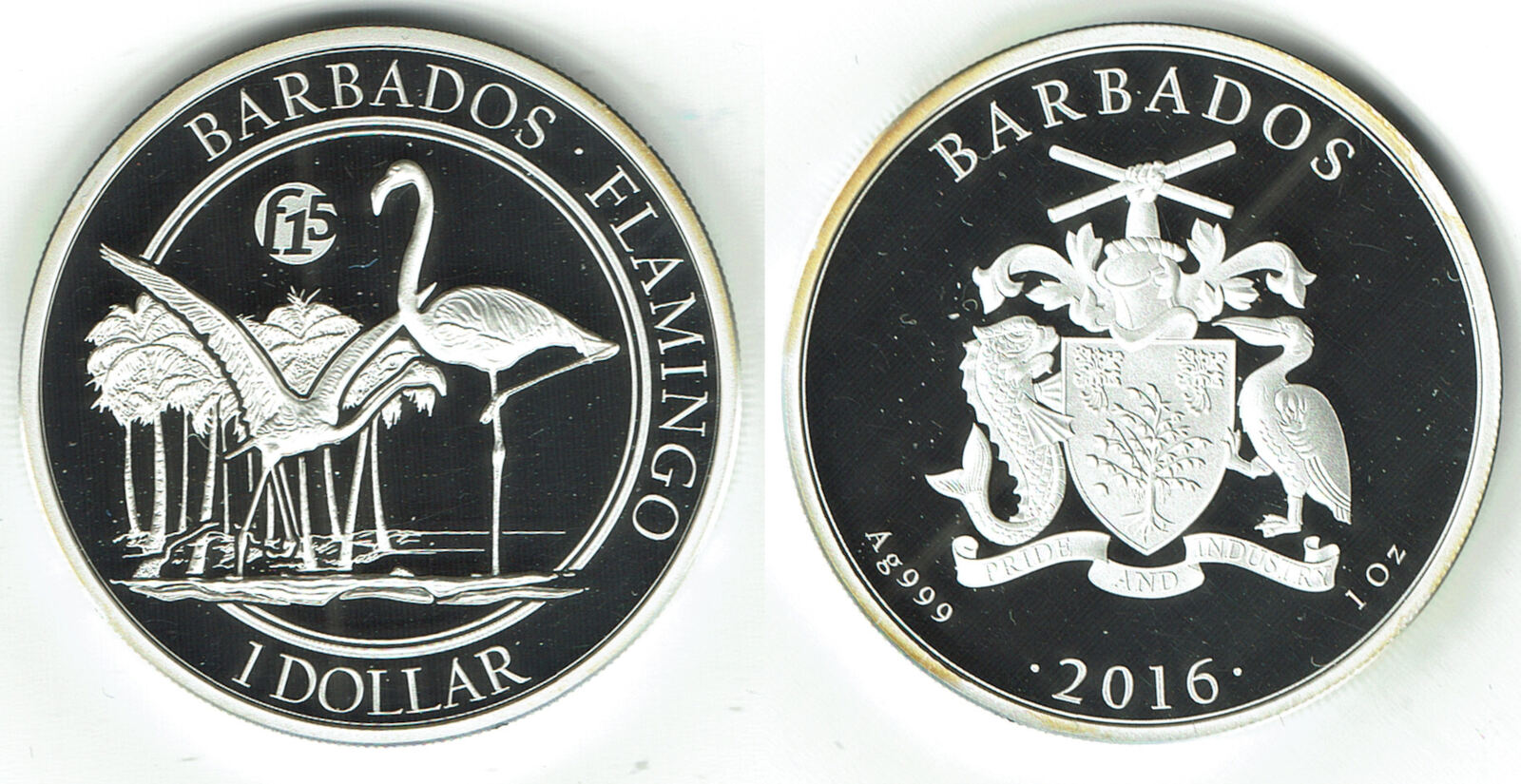 1 Dollar 2016 Barbados, silver commemorative coin, 1 ounce Flamingo ...