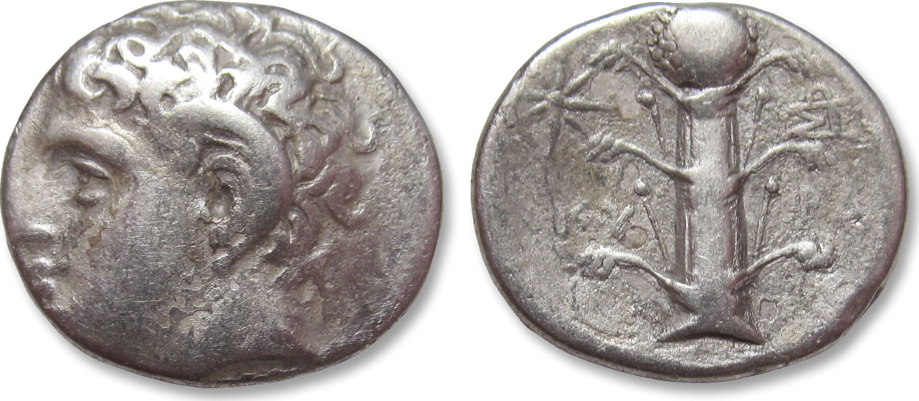 ANCIENT GREECE AR didrachm circa 294-275 B.C. KYRENAICA / Cyrenaica ...