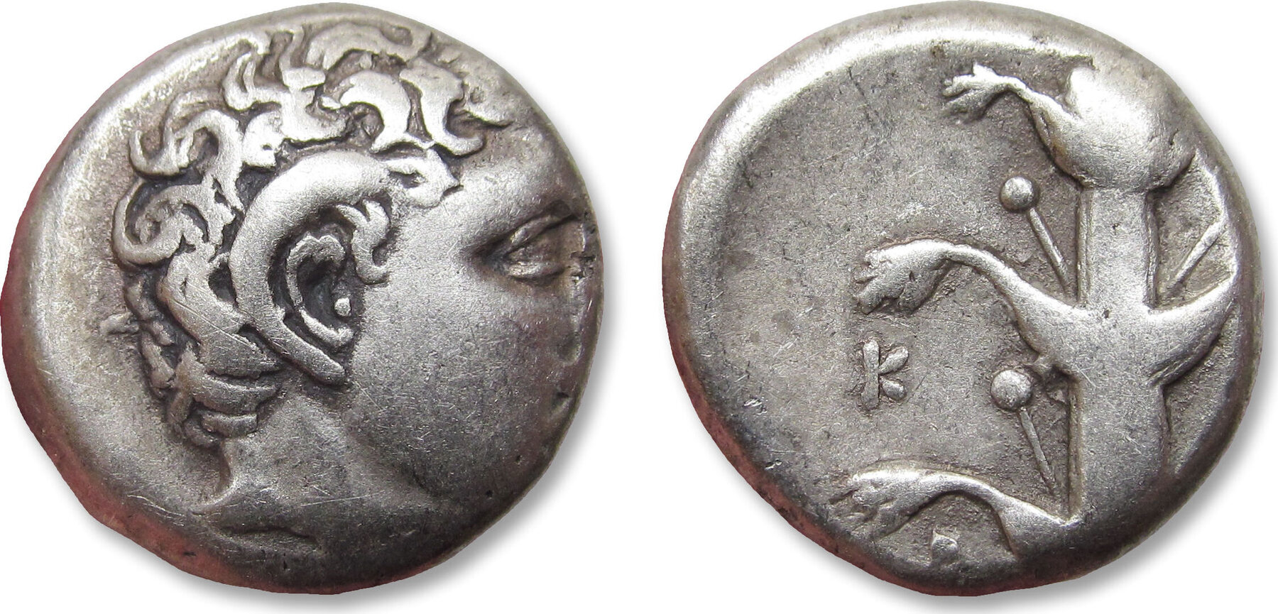 ANCIENT GREECE AR didrachm circa 294-275 B.C. KYRENAICA / Cyrenaica ...