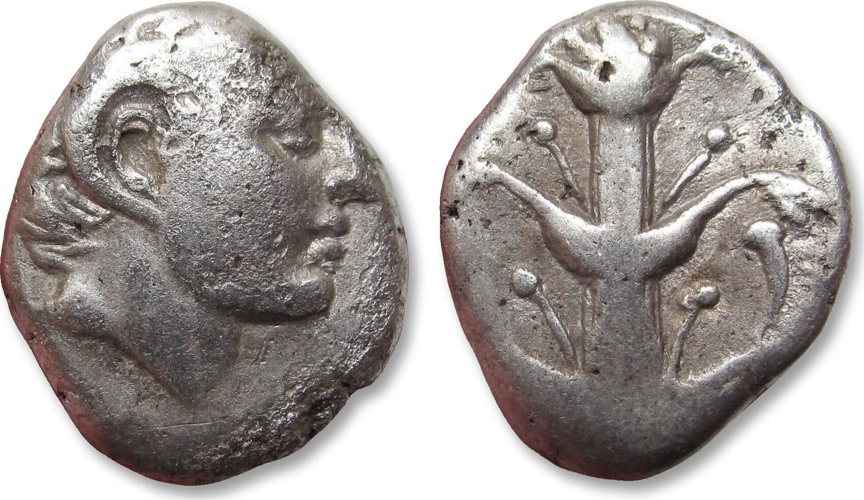 ANCIENT GREECE AR didrachm circa 294-275 B.C. KYRENAICA / Cyrenaica ...
