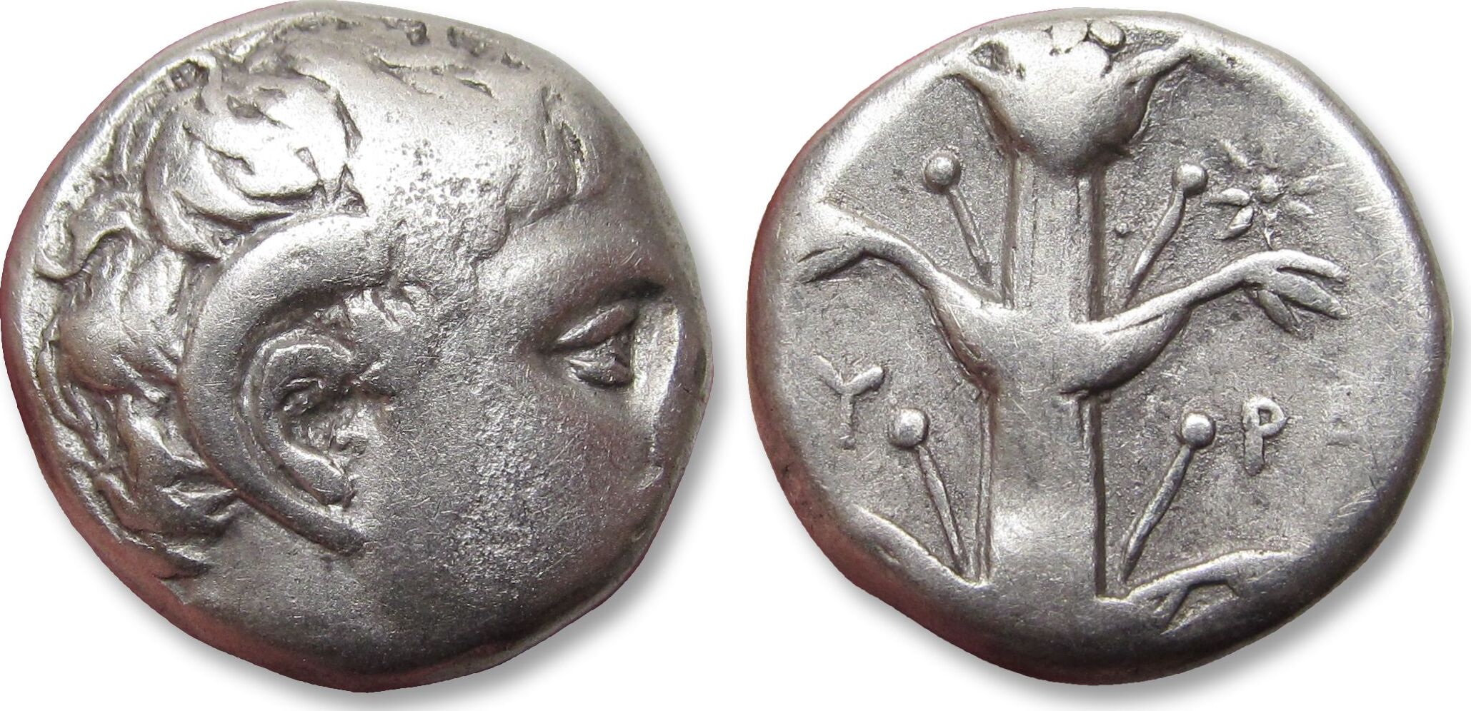 ANCIENT GREECE AR didrachm circa 294-275 B.C. KYRENAICA / Cyrenaica ...