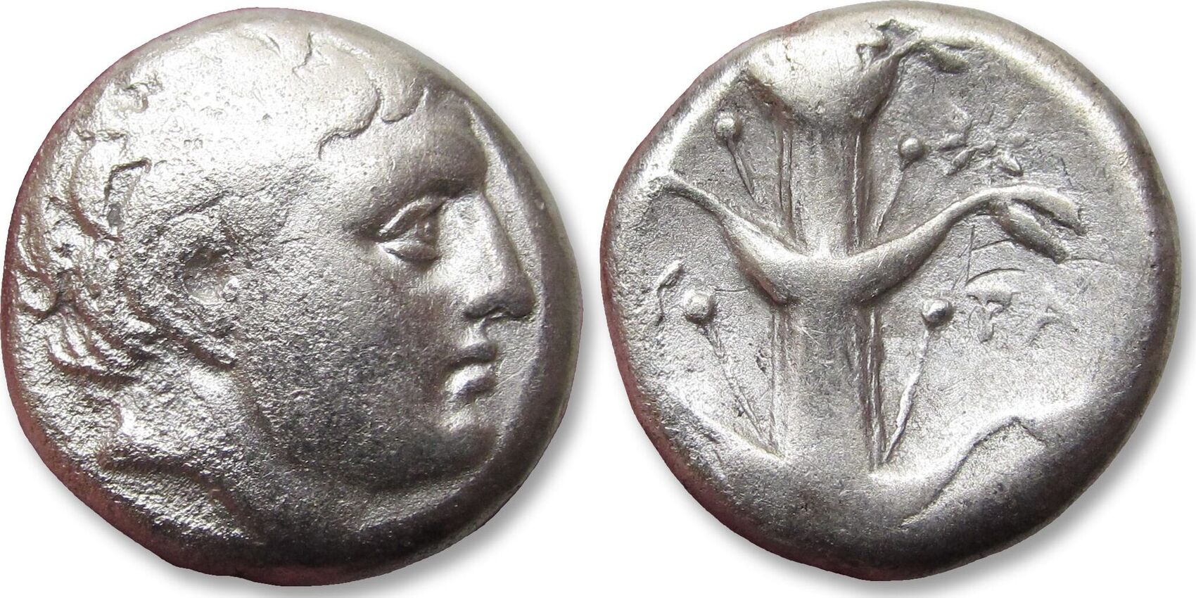 ANCIENT GREECE AR didrachm circa 294-275 B.C. KYRENAICA / Cyrenaica ...