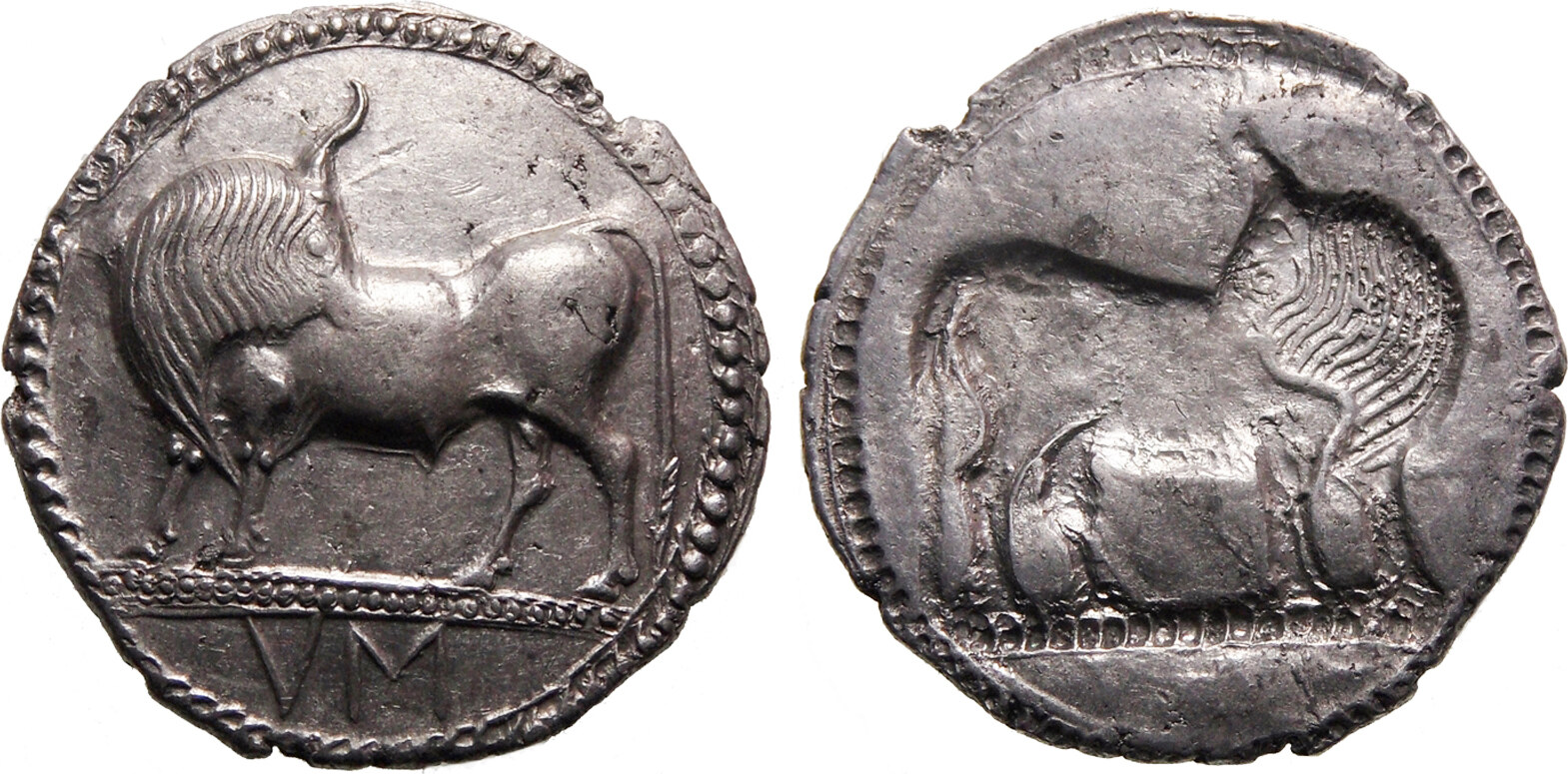 Greek coins 530-510 BC Lucania Sybaris extremely fine | MA-Shops