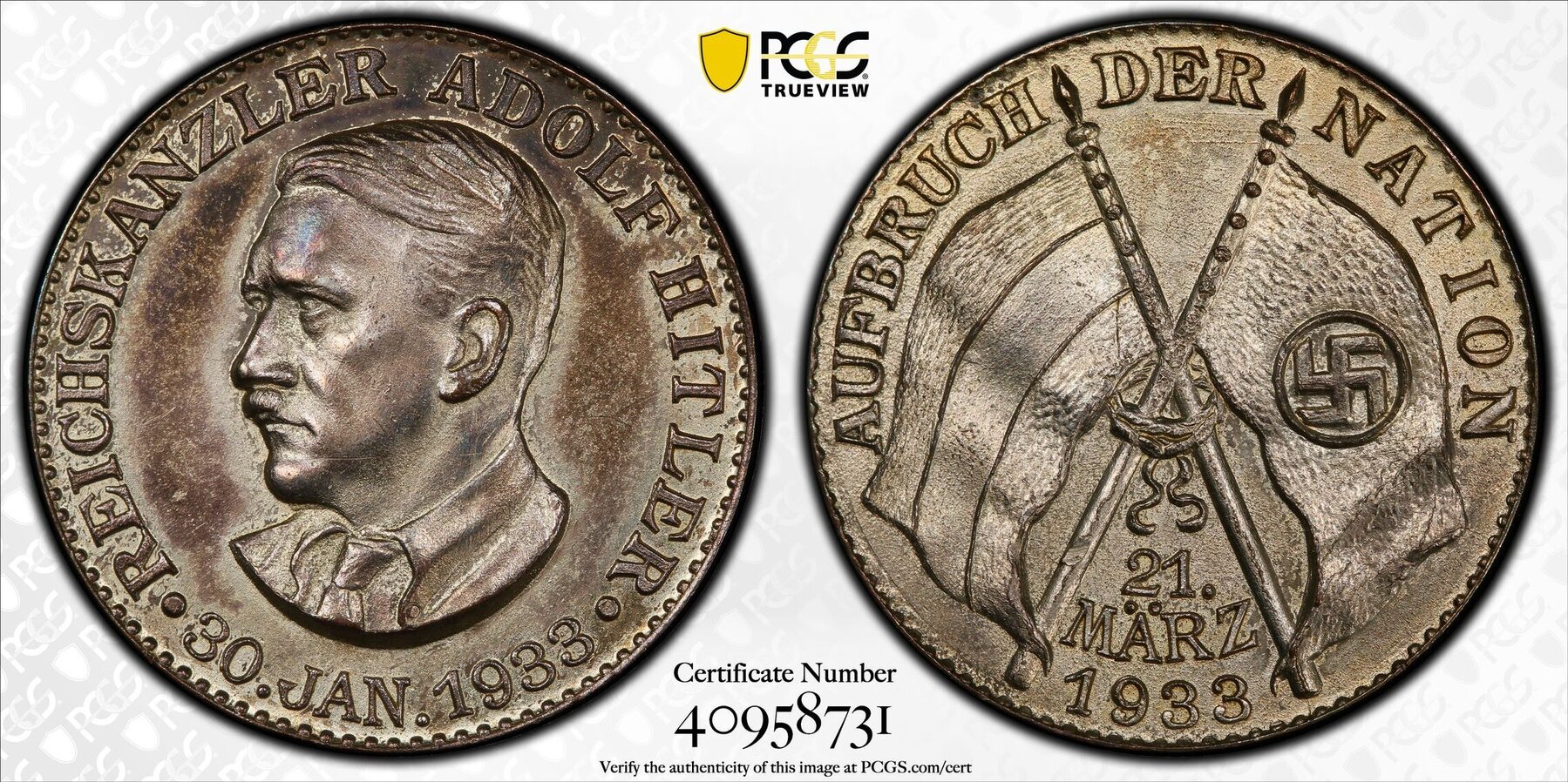 Germany, Third Reich 1933 NSDAP Hitler Medal, Silver-Plated Bronze?, C ...