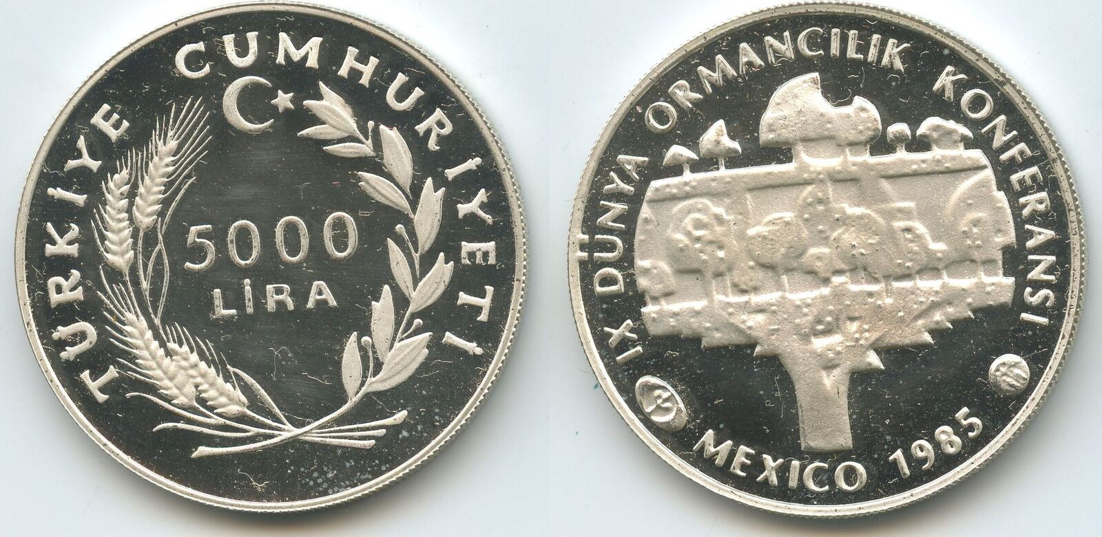 Türkei 5000 Lira Silber 1985 GS499 - Forestry Conference Mexico Turkey ...
