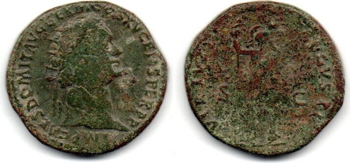 Domitien As B | MA-Shops