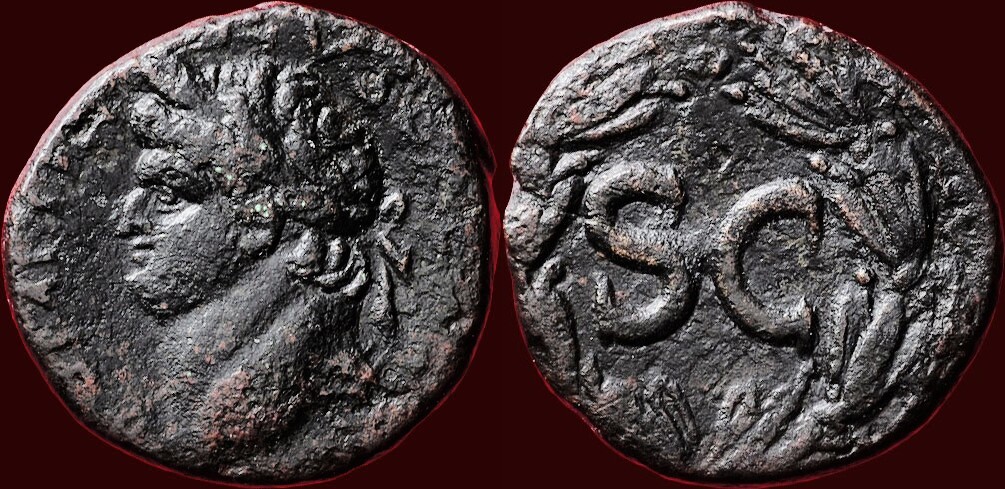 Roman Empire 69-81 AD DOMITIANUS (DOMITIAN) as Caesar, 69-81 - SYRIA ...