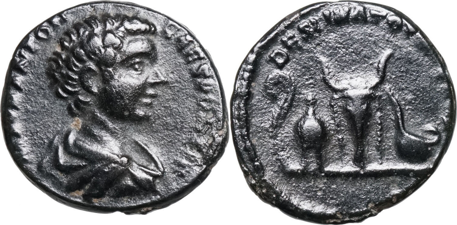 Caracalla Caesar (196-198) AE/BI Denar LIMESFALSUM! Lituus, Apex ...