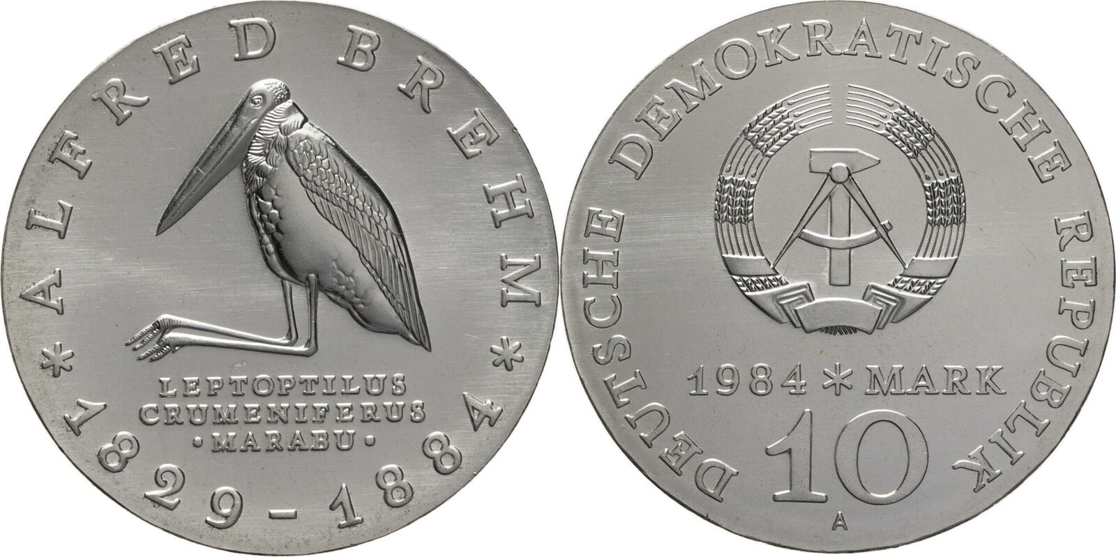 DDR 10 Mark 1984 A 100th Anniversary of Death of Brehm EF | MA-Shops