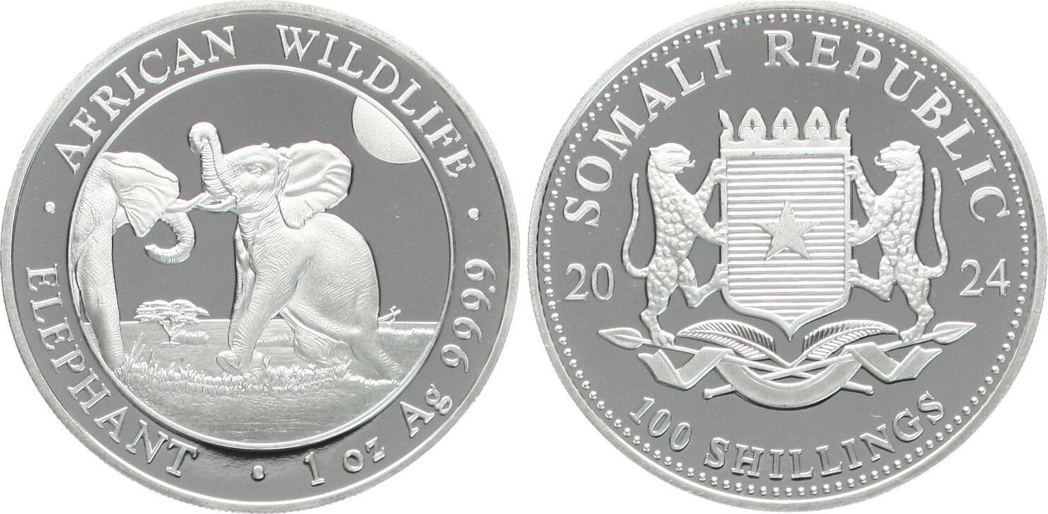 Somalia 100 Shilling 2024 Republik Proof | MA-Shops