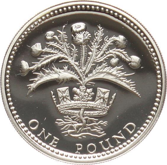 Großbritannien One Pound 1989 Elisabeth II. proof | MA-Shops