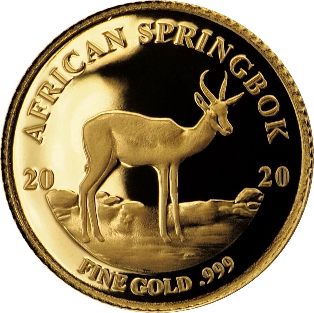 Kongo 100 Francs Congo - Springbok 2020 Bu | MA-Shops