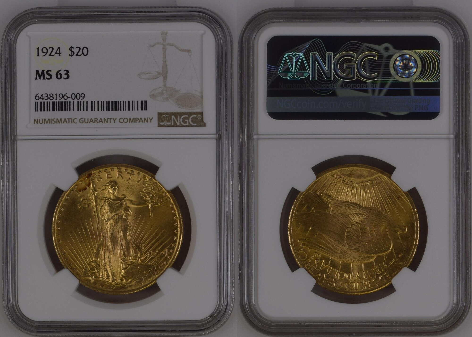 USA $20 DOUBLE EAGLE 1924 NGC MS 63 | MA-Shops