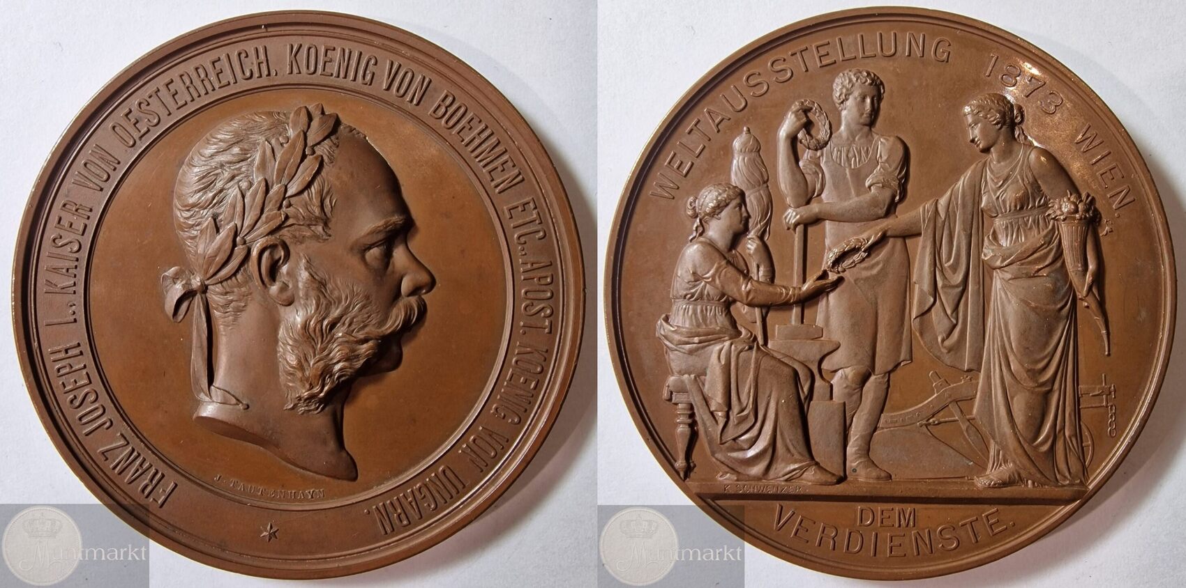 Austria Historical Medal 1873 International Exhibition in Vienna - Dem ...