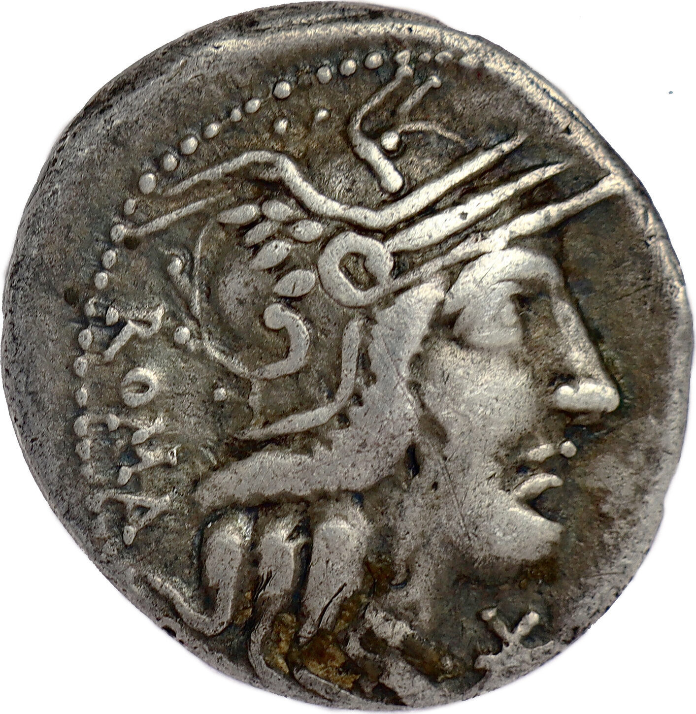 ROMAN REPUBLIC AR Denarius 117-116 BC Marcus Calidius, Q. Caecilius ...