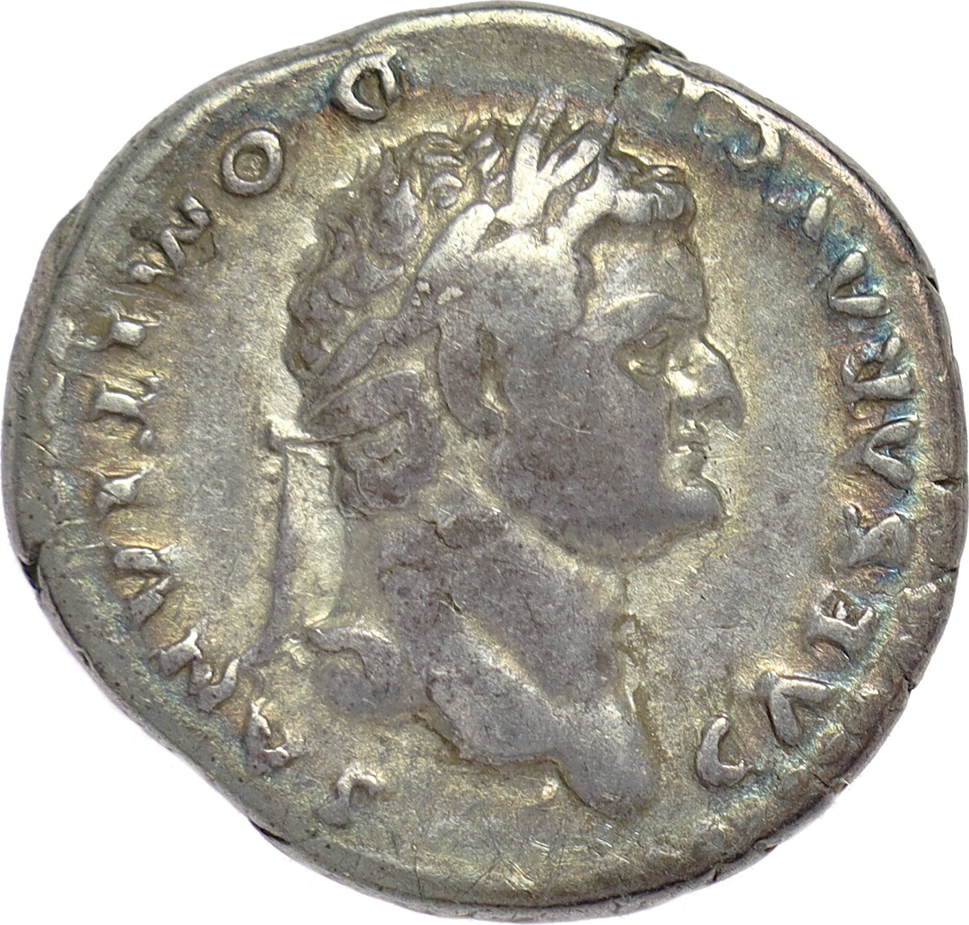 ROMAN EMPIRE AR Denarius 76-77 AD Domitianus, as Caesar AVF | MA-Shops