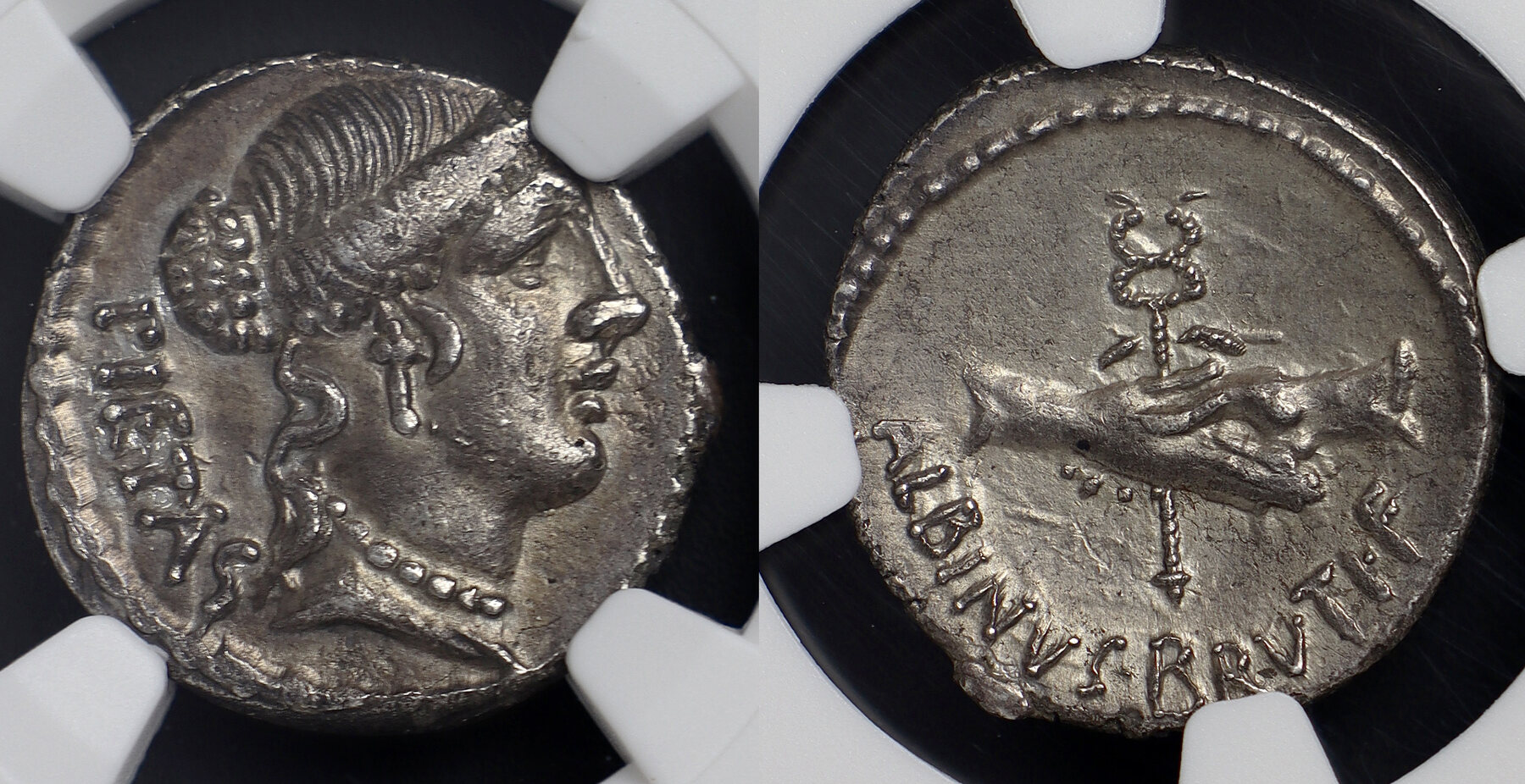 ROMAN IMPERATORIAL AR Denarius Albinus Bruti f., c.48 BC Albinus Bruti ...