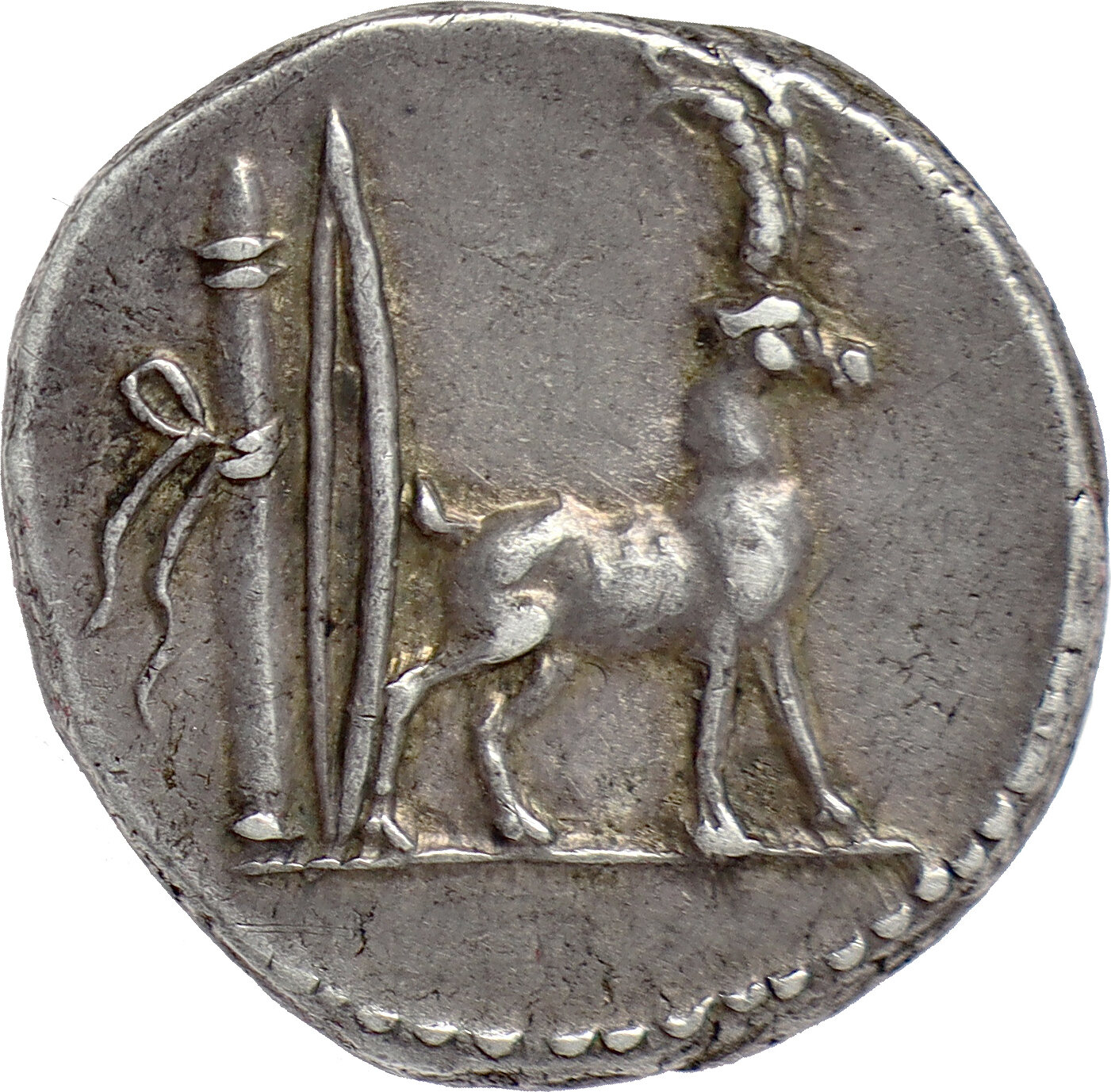 Roman Republic (Imperatorial) AR Denarius 55 BC Cn. Plancius Choice EF ...