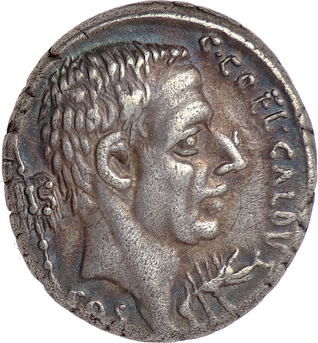 ROMAN REPUBLIC AR Denarius 51 BC Imperatorial - C. Coelius Caldus ...