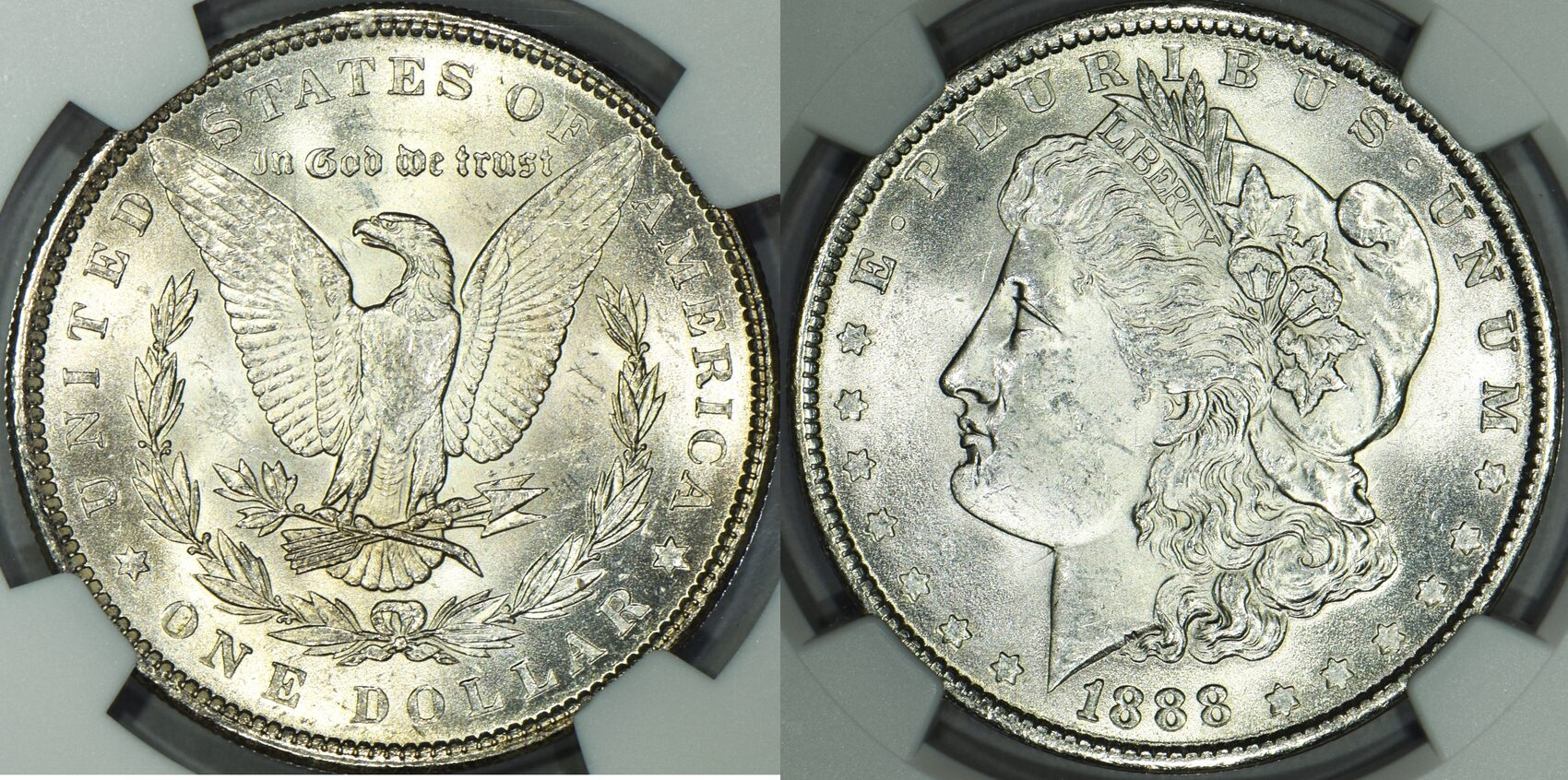 USA 1888 Top-100 Morgan Dollar NGC-63; VAM-11A DDO Ear & Clash | MA-Shops