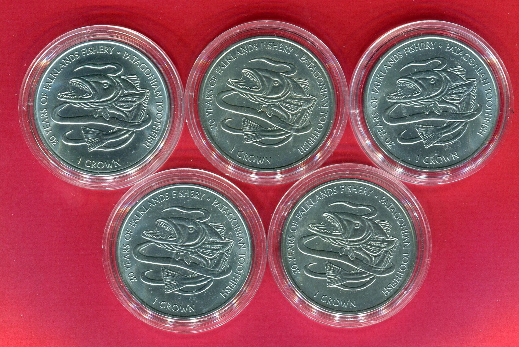 Falkland Islands Lot 5 x 1 Crown Titanmünzen 2017 30 Years of Falkland ...
