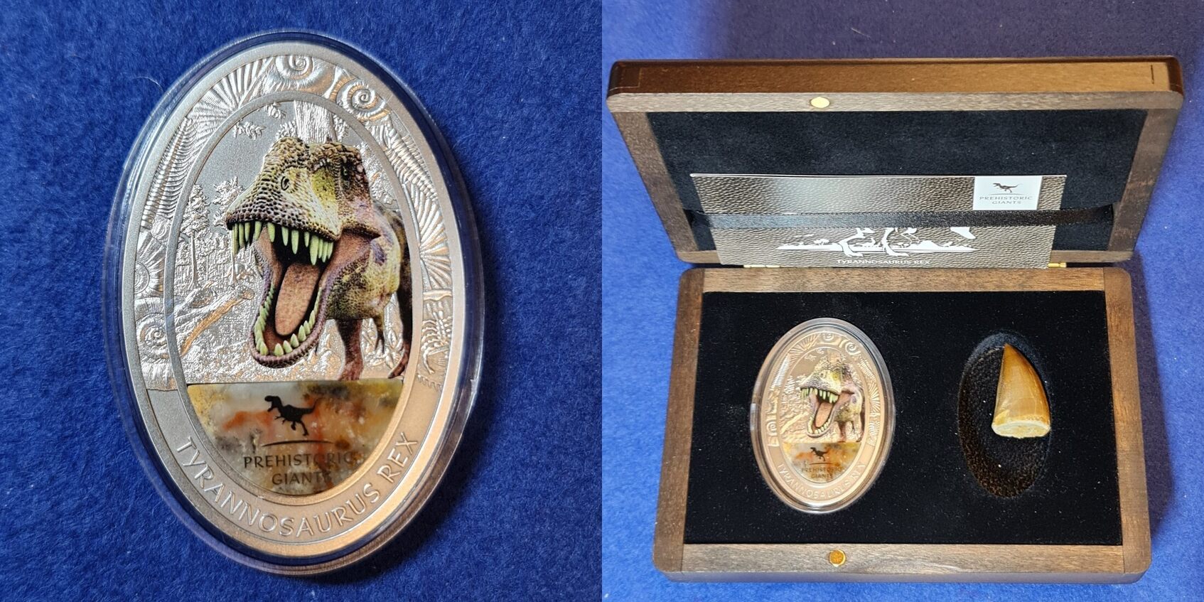 Republik Kongo Congo 1500 Francs Oval Shaped 2014 Tyrannosaurus Rex ...