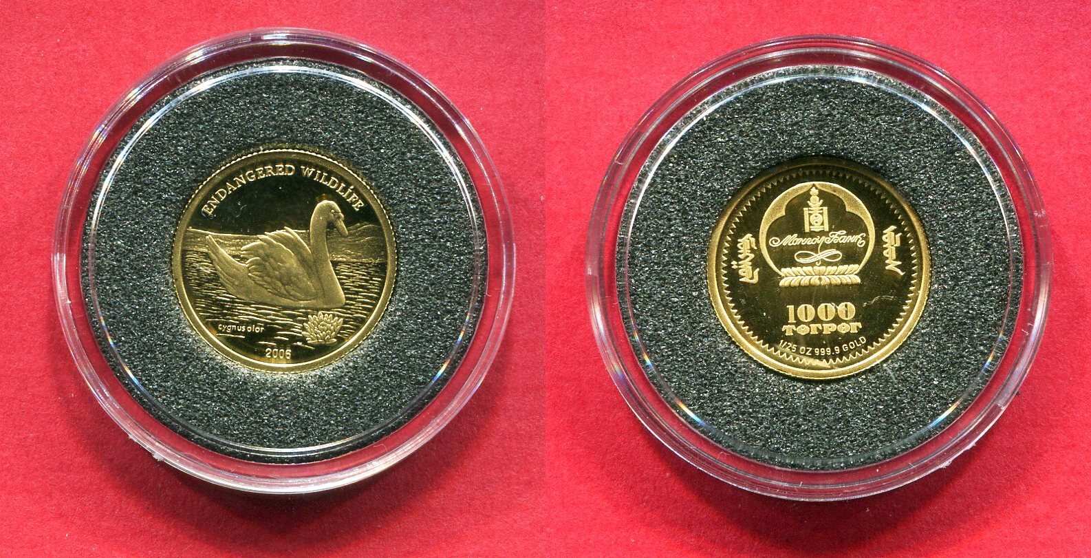 Mongolei 1000 Togrog Minigoldmünze 2006 Höckerschwan (1/25 oz) proof in ...