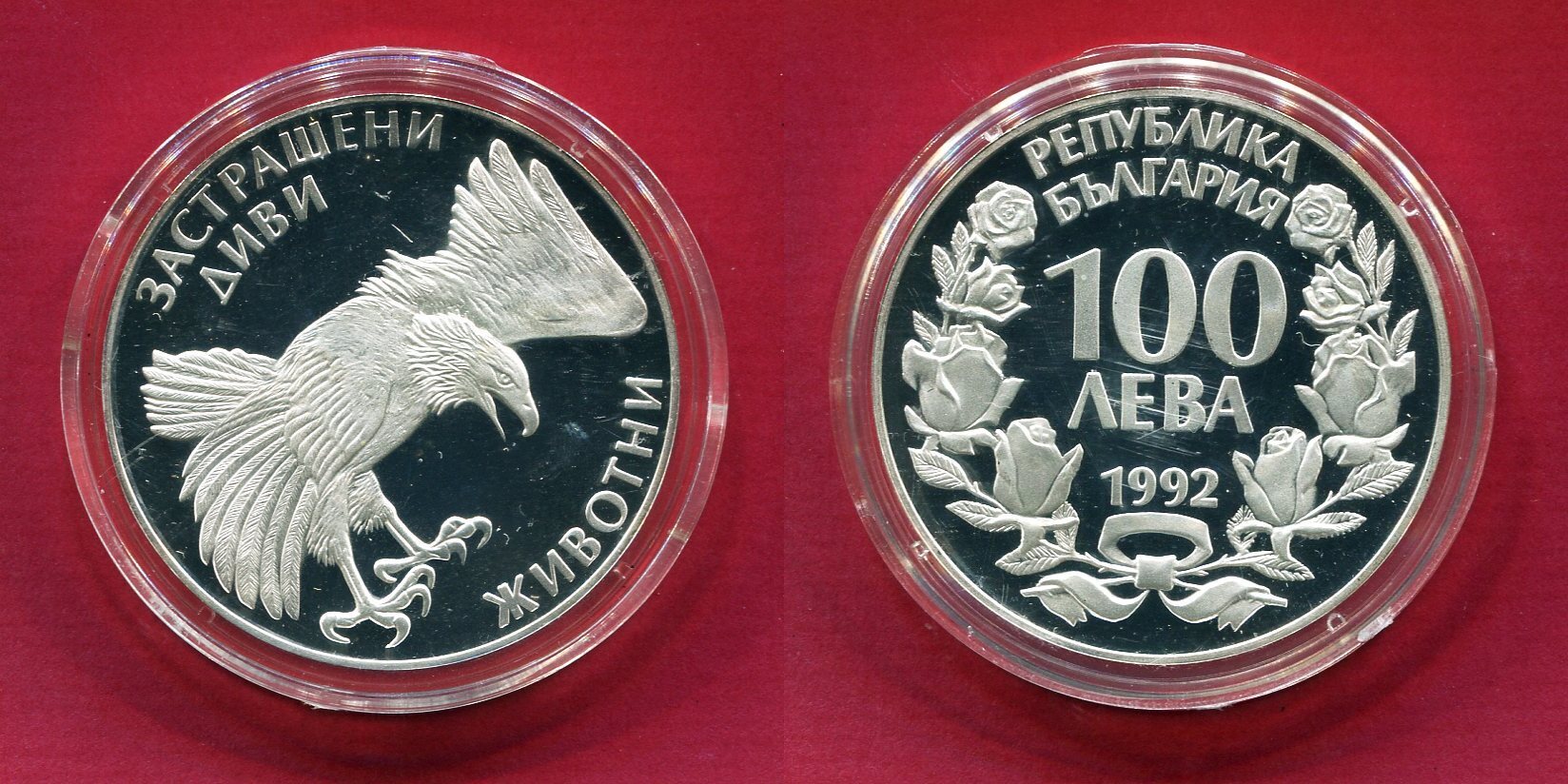 Bulgarien 100 Lewa Silbermünze 1992 Steinadler - Gefährdete Tierwelt ...
