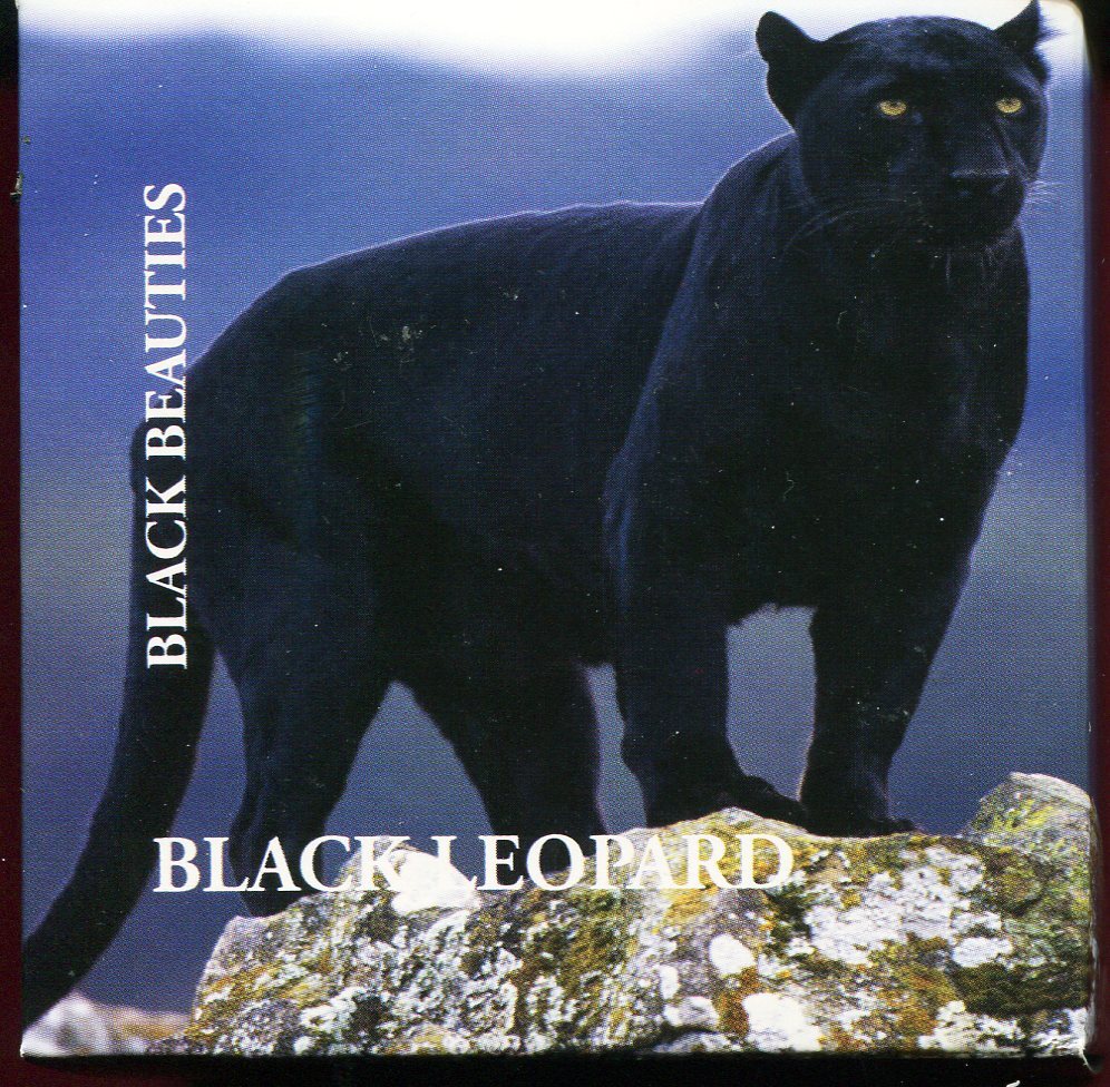 Kongo 1000 Francs CFA Silbermünze 2013 Schwarzer Leopard (m ...