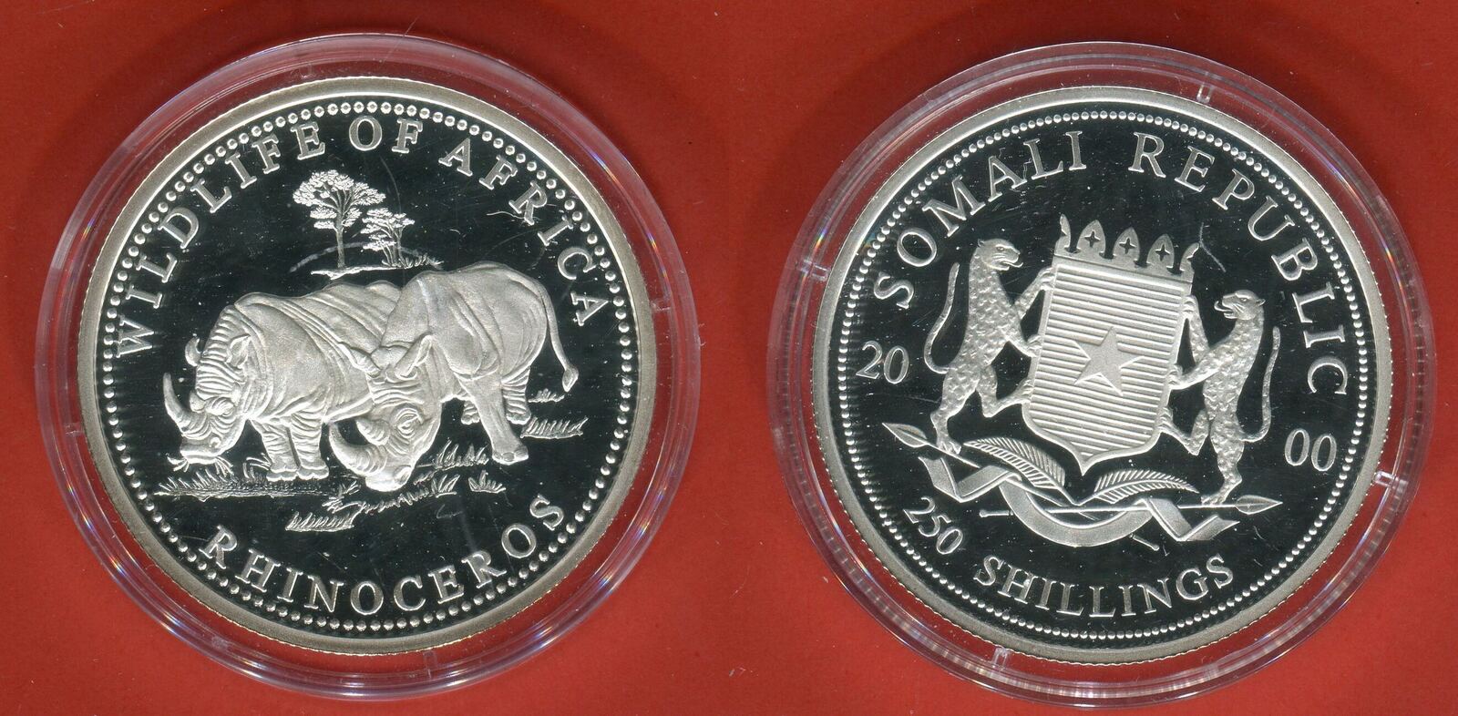 Somalia 250 Shillings 2000 Gefährdete Tierwelt - Nashorn proof | MA-Shops