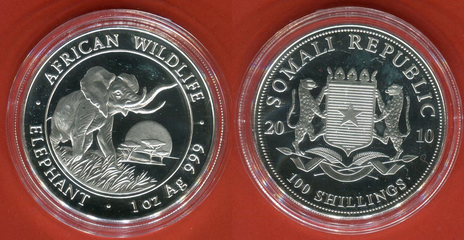 Somalia 100 Shillings 2010 Elefant - African Wildlife - Elephant ...