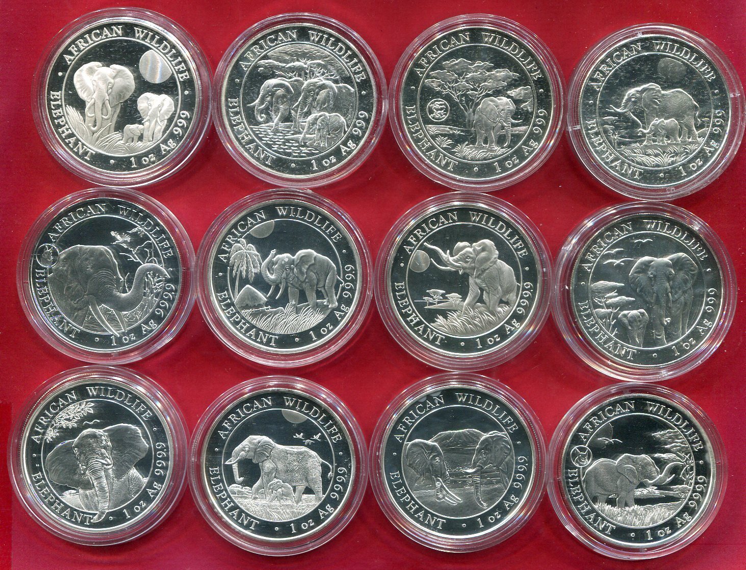 Somalia Somali Republic 12 x 1000 Shillings 2011 bis 2022 Elefant ...