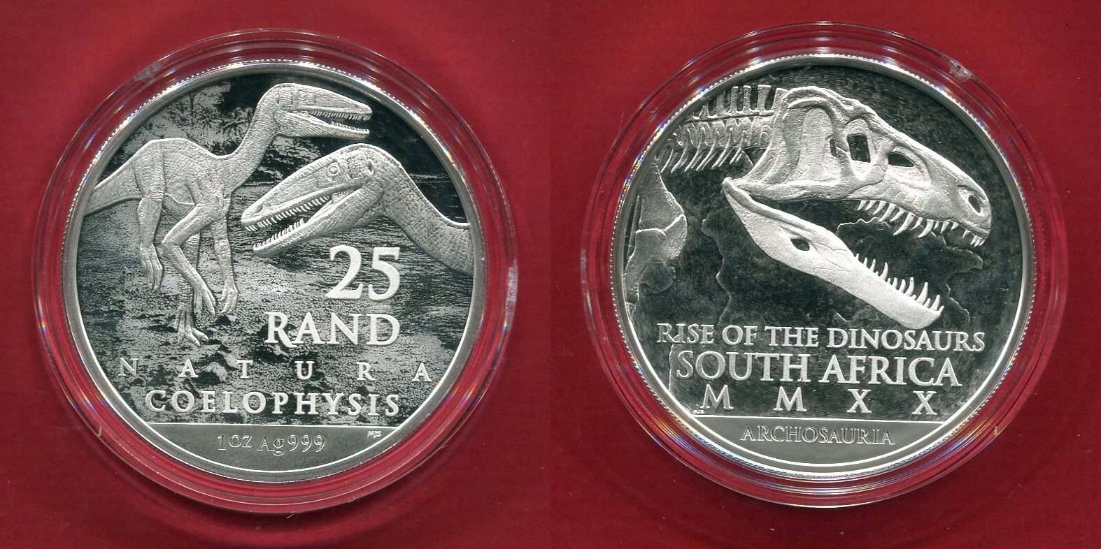 Südafrika 25 Rand Silbermünze 2020 Rise of the Dinosaurs - Coelophysis ...