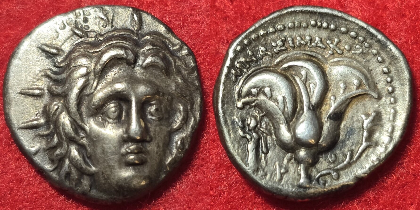 Karien / Rhodos Didrachme 3.Jh. v. Kopf des Helios, Rose nearly XF | MA ...