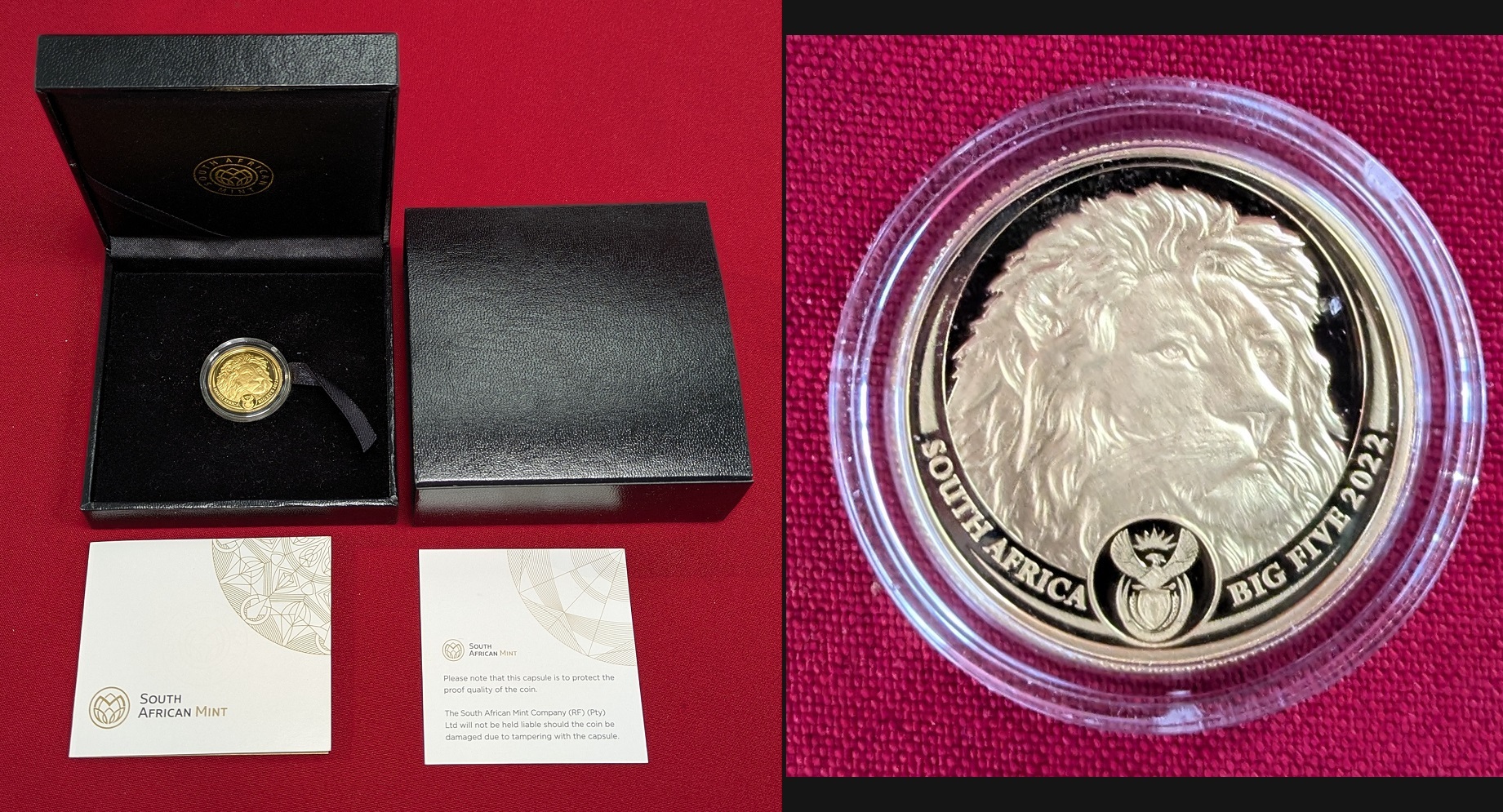 Südafrika 50 Rand Goldmünze - 1/4 Unze 2022 The Big Five: Lion - Löwe ...