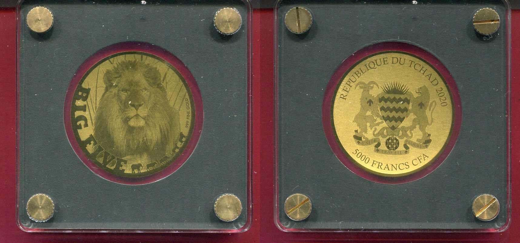 Tschad Tchad 5000 Francs CFA Gold 2020 Big Five - Löwe / Lion PP in ...