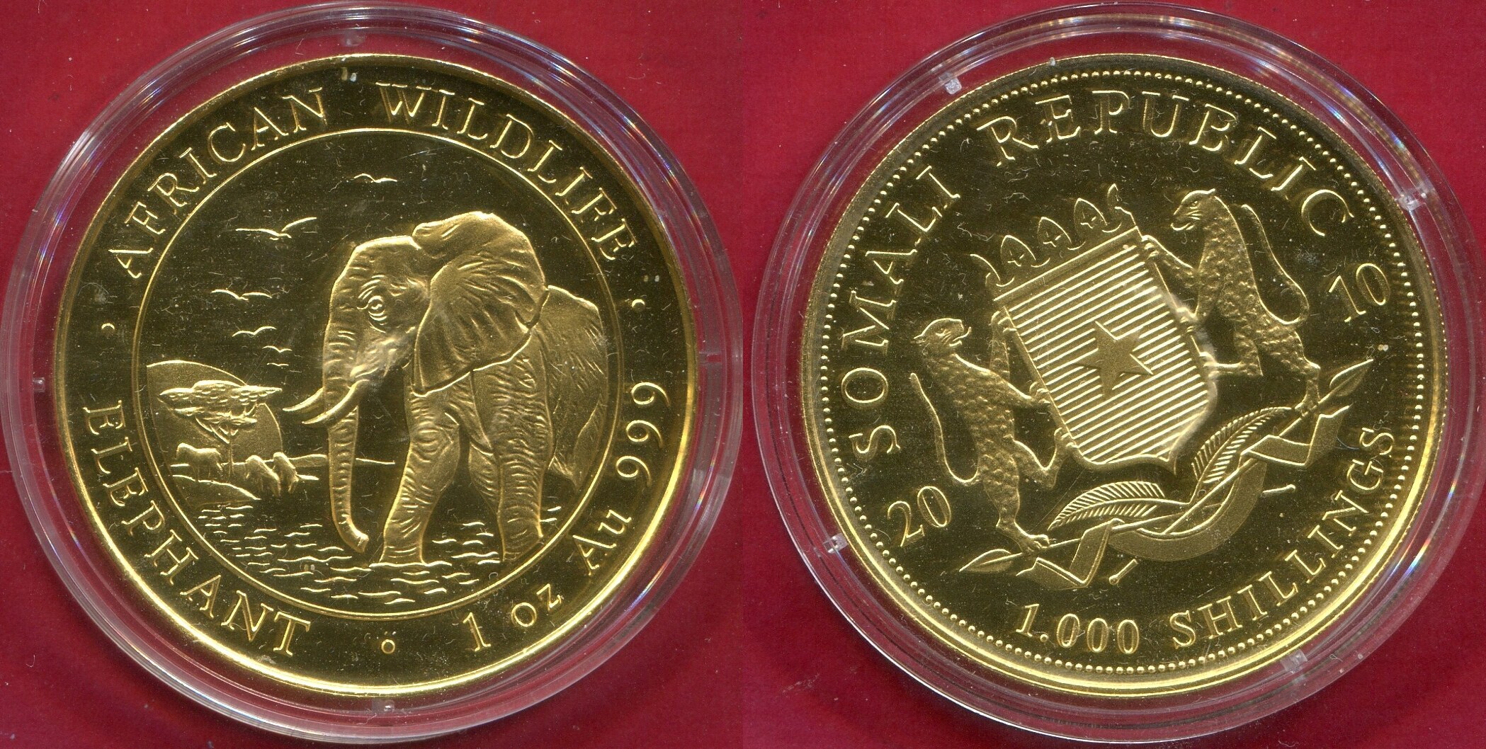 Somalia Somali Republic 1000 Schilling 1 Unze Gold 2010 Elefant Erstes ...